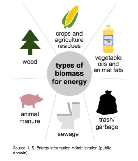 Material Handling and Storage Solutions for the Growing Biomass and Other Waste-to-Energy (WtE ...
